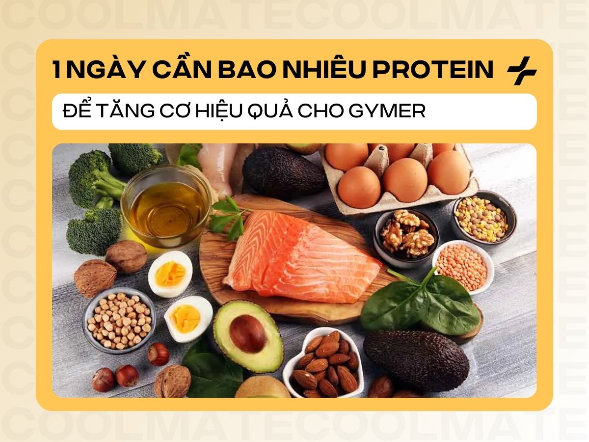 1 ngày cần bao nhiêu protein để tăng cơ hiệu quả nhất cho các gymer?