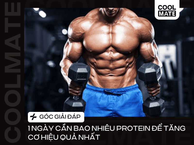 Góc giải đáp: 1 ngày cần bao nhiêu protein để tăng cơ hiệu quả nhất