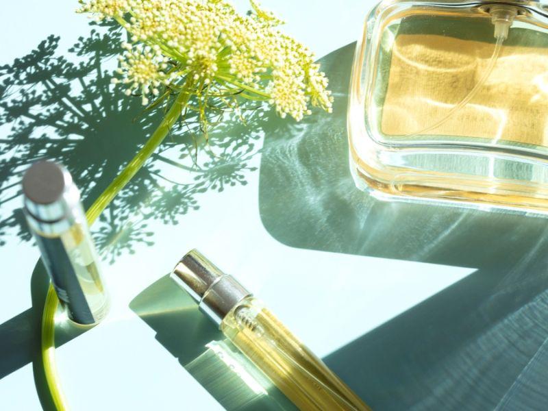 Hè thêm tươi mát cùng nước hoa Green note - CoolMate Blog