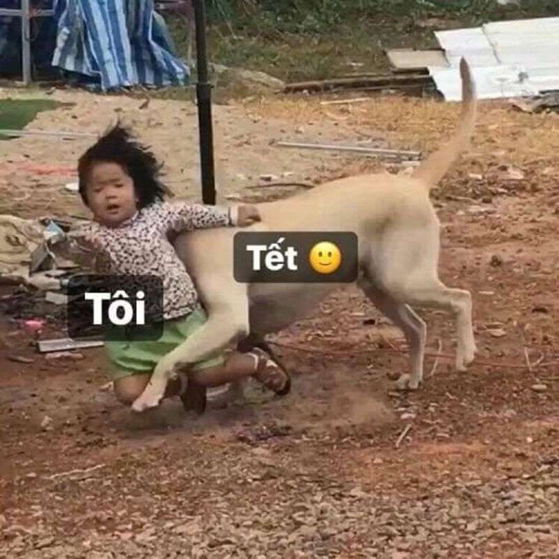 Tổng hợp Meme Tết 2024 Hài Hước, Độc Đáo | Ảnh Meme Tết Cho Bạn Bè ...