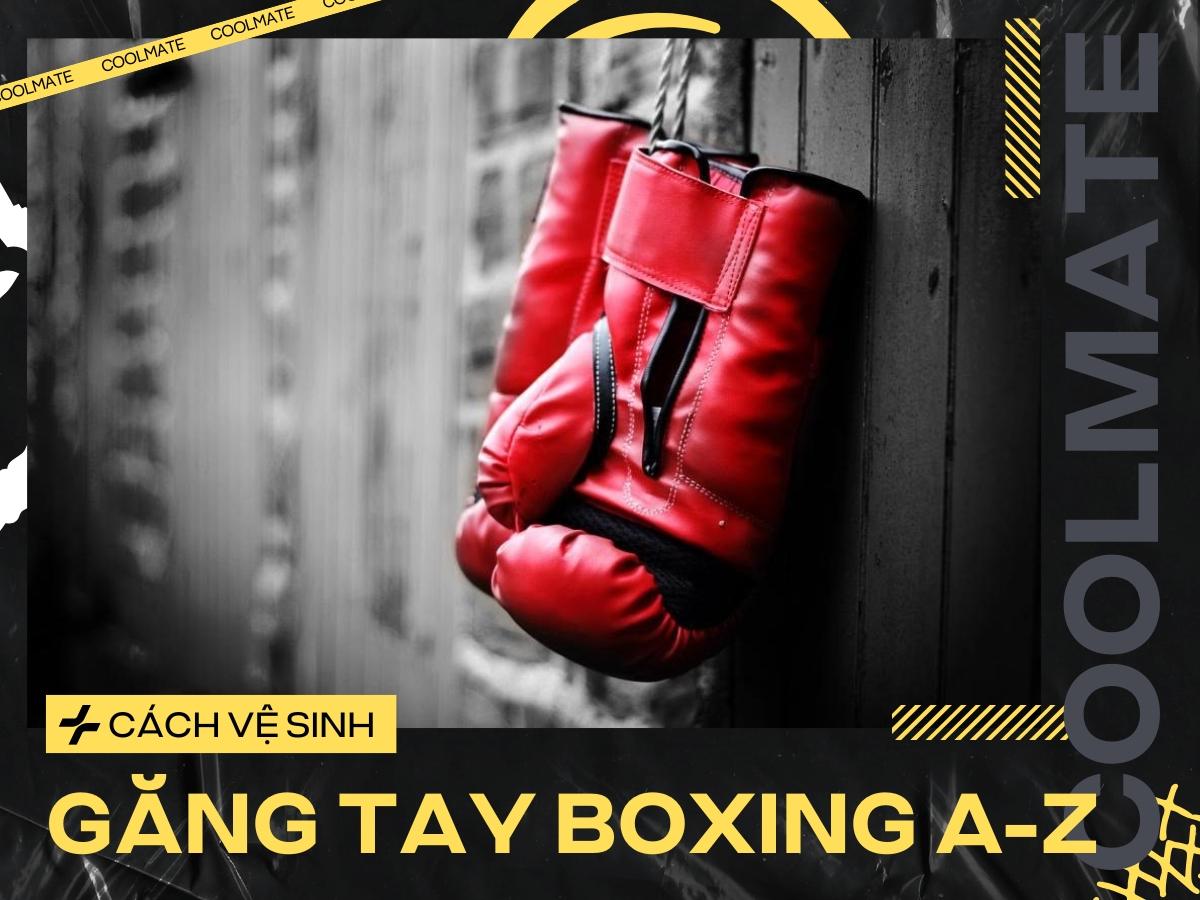Vệ Sinh Găng Tay Boxing A-Z: Đánh Bay Mùi Hôi, Giữ Găng Bền Đẹp